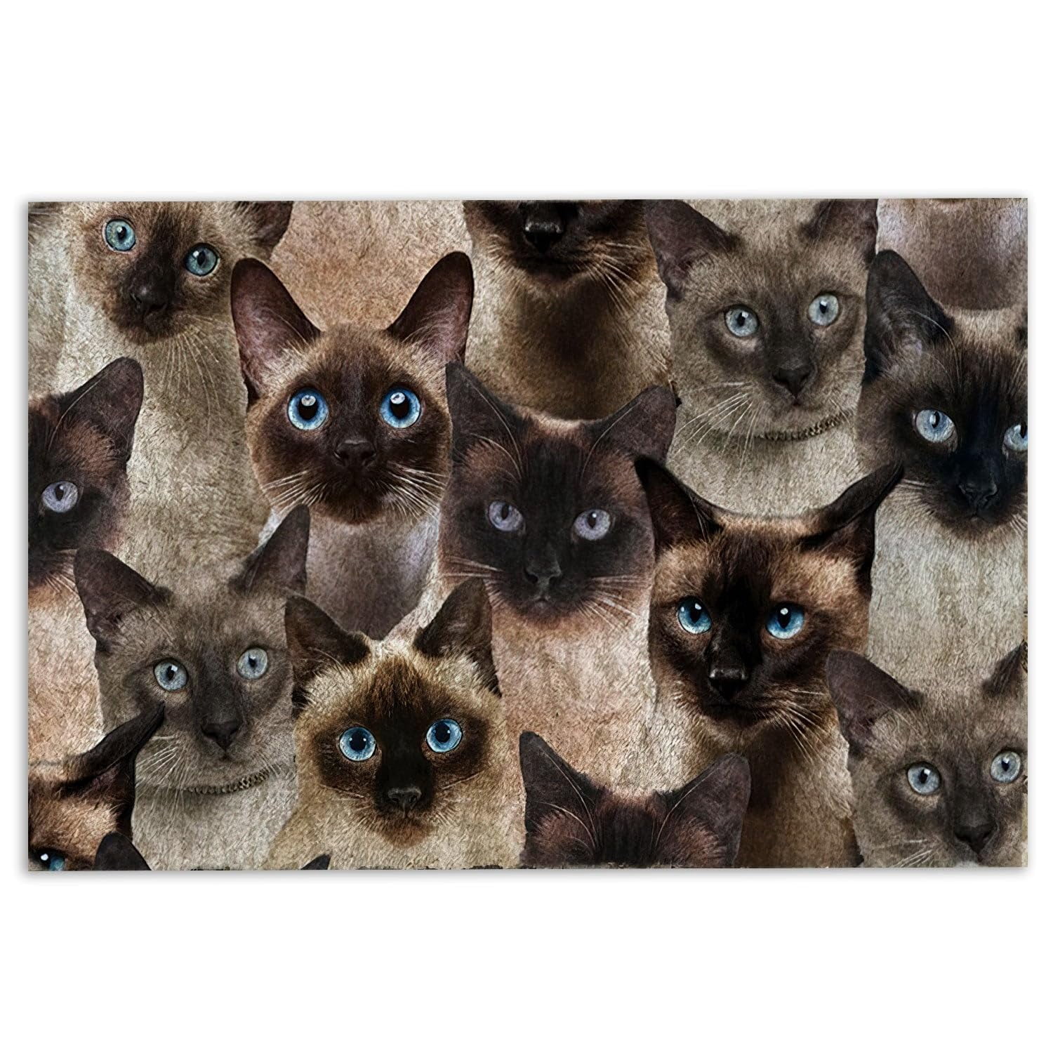 Siamese Cat Door Mat Funny Cute A Bunch of Siamese Cats Kitten Hope You ...