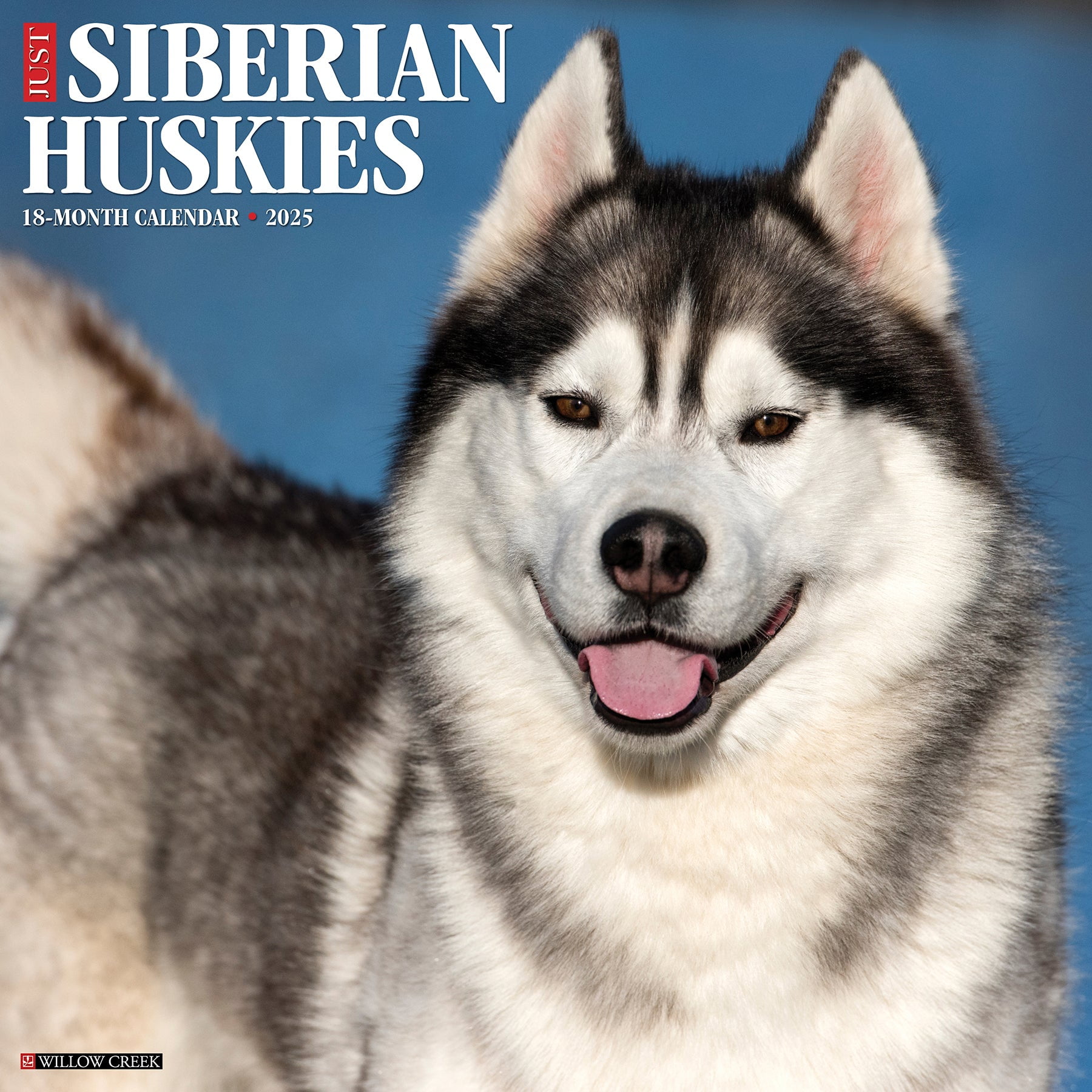 Siberian Huskies 2025 Wall Calendar - Walmart.com