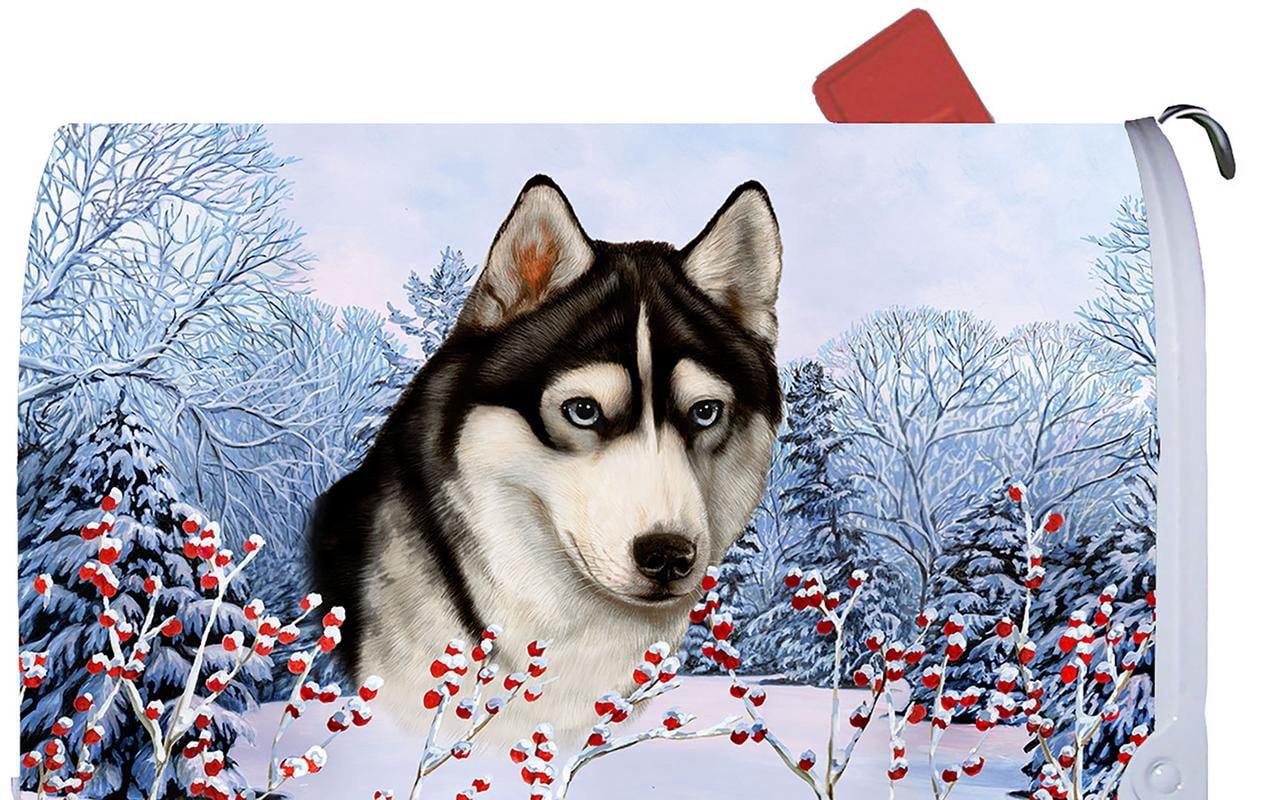 Siberian Husky Black/White - Best of Breed Dog Breed Winter Berries ...