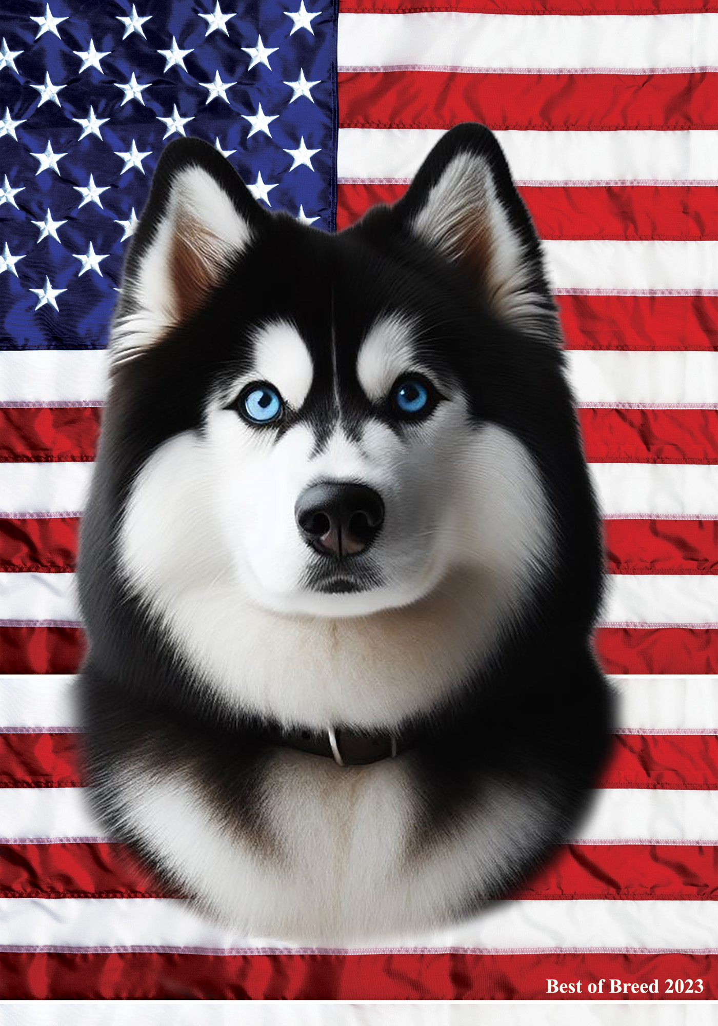 Siberian Husky Black/White Blue Eyes - Patriotic Patriotic III Garden ...