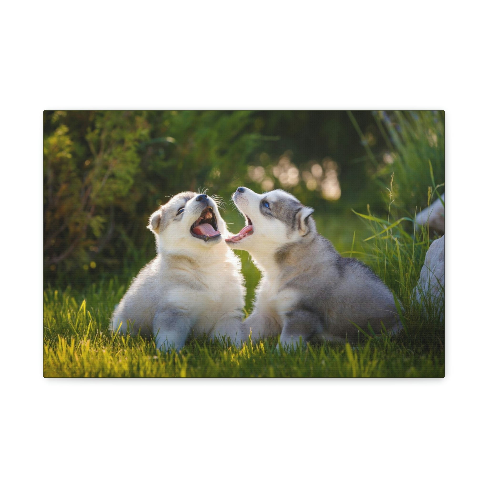 Siberian Husky Couple Siberian Husky Couple Print Animal Wall Art ...