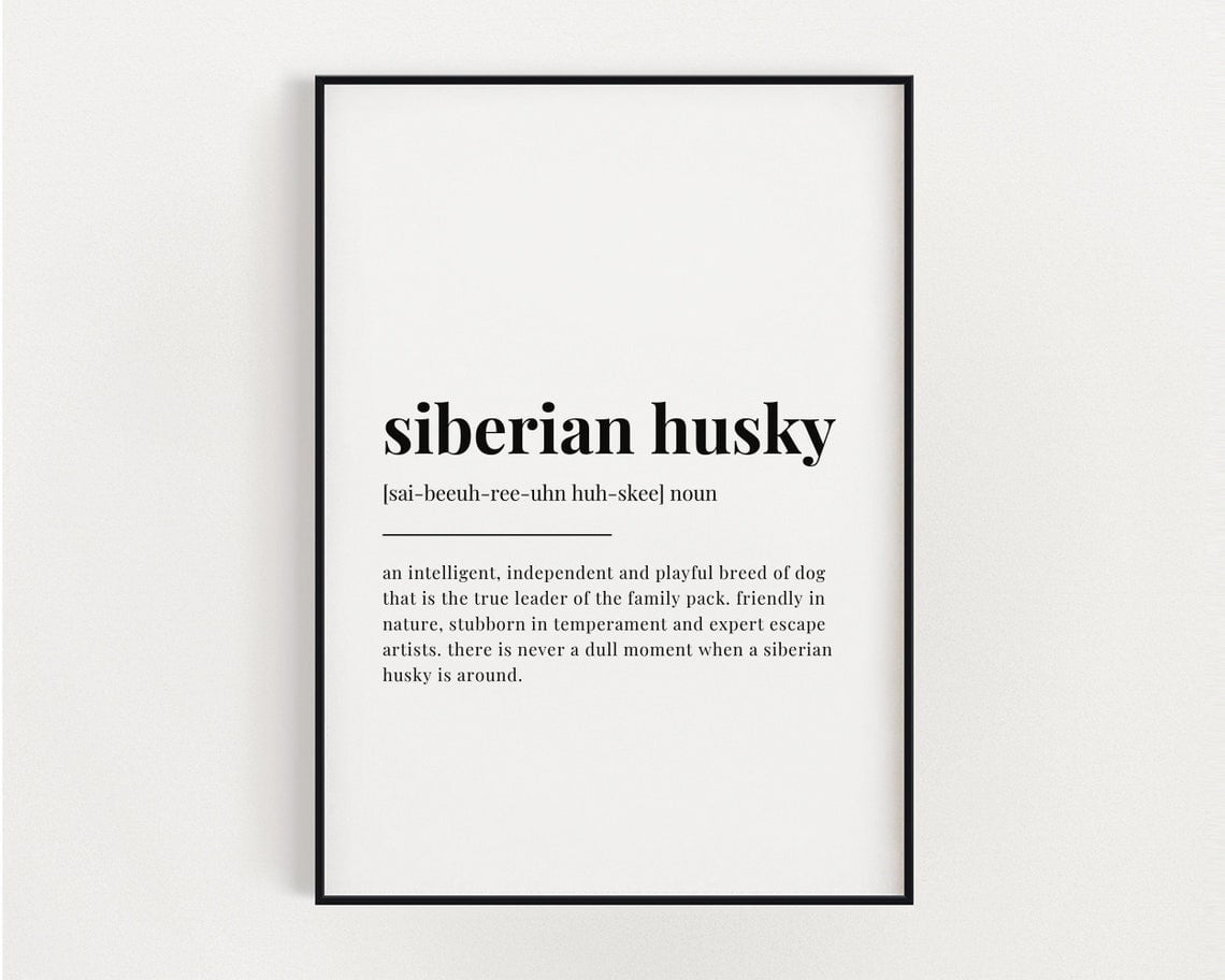 Siberian Husky Definition Meaning, Wall Art, Siberian Husky Print ...