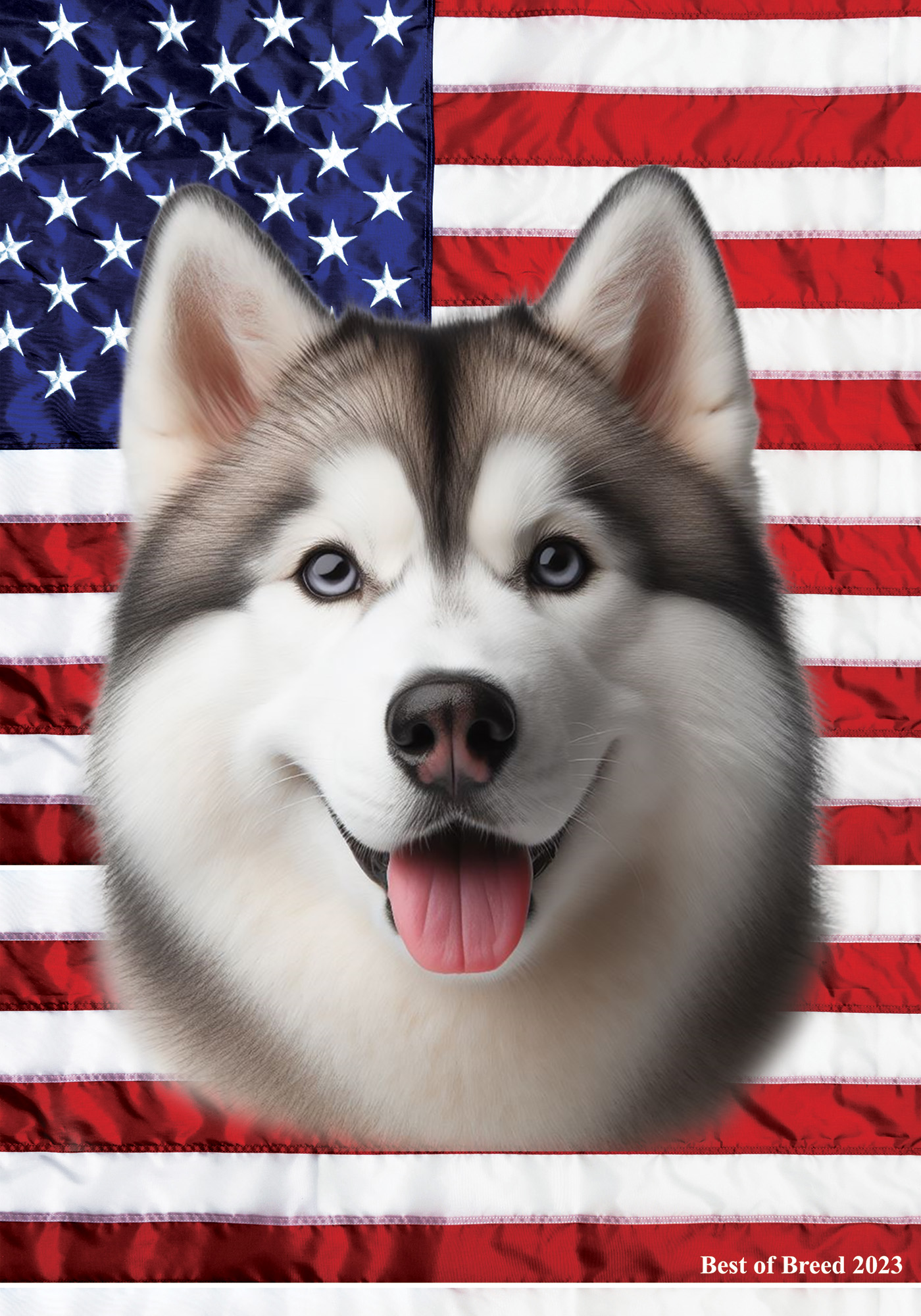 Siberian Husky Grey Blue Eyes - Best of Breed All-American Patriotic ...