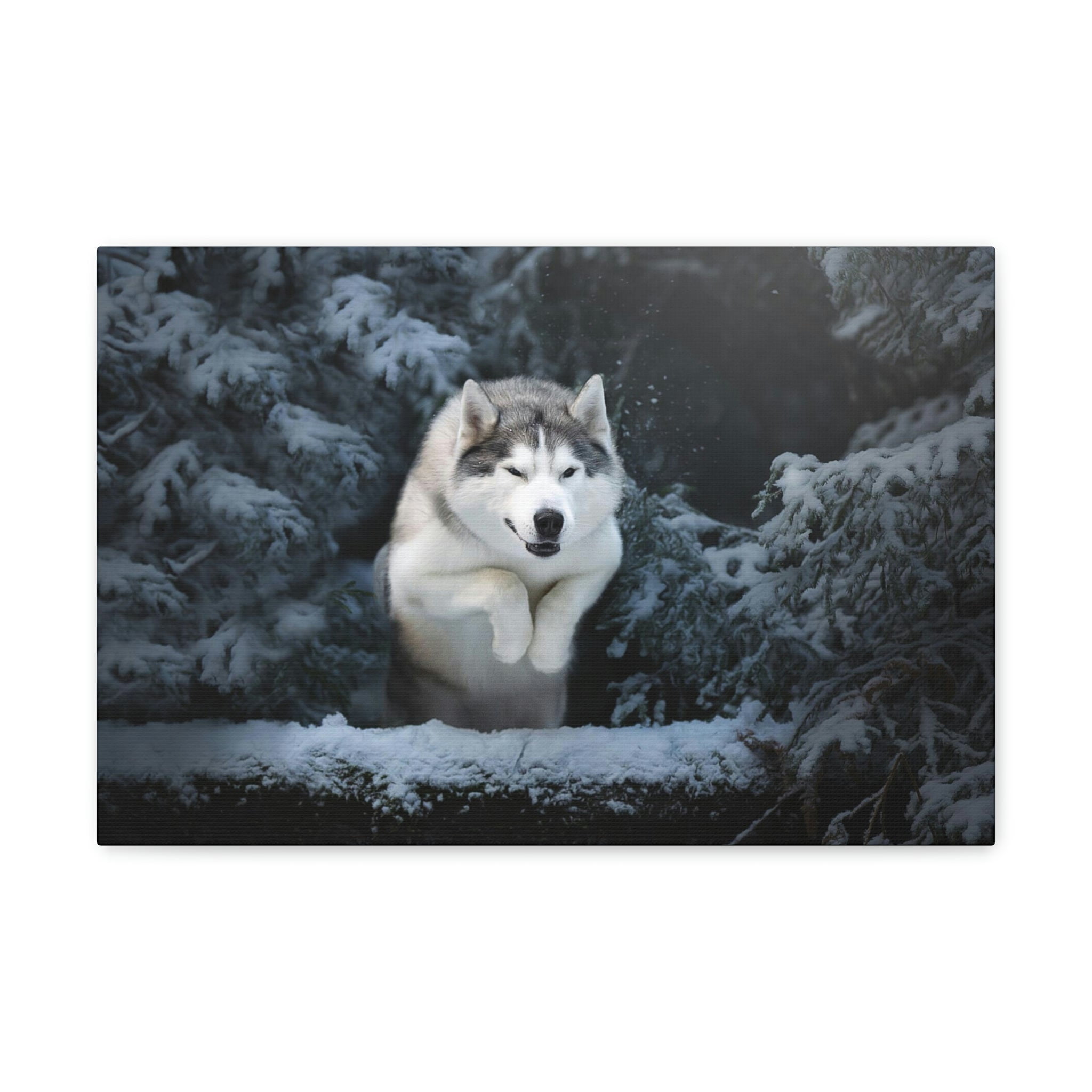 Siberian Husky Hunting Siberian Husky on Hunt Print Animal Wall Art ...