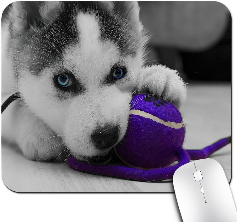 Siberian Husky Pup Playing with Purple Blue Ball Mouse Pad Cute Large ...