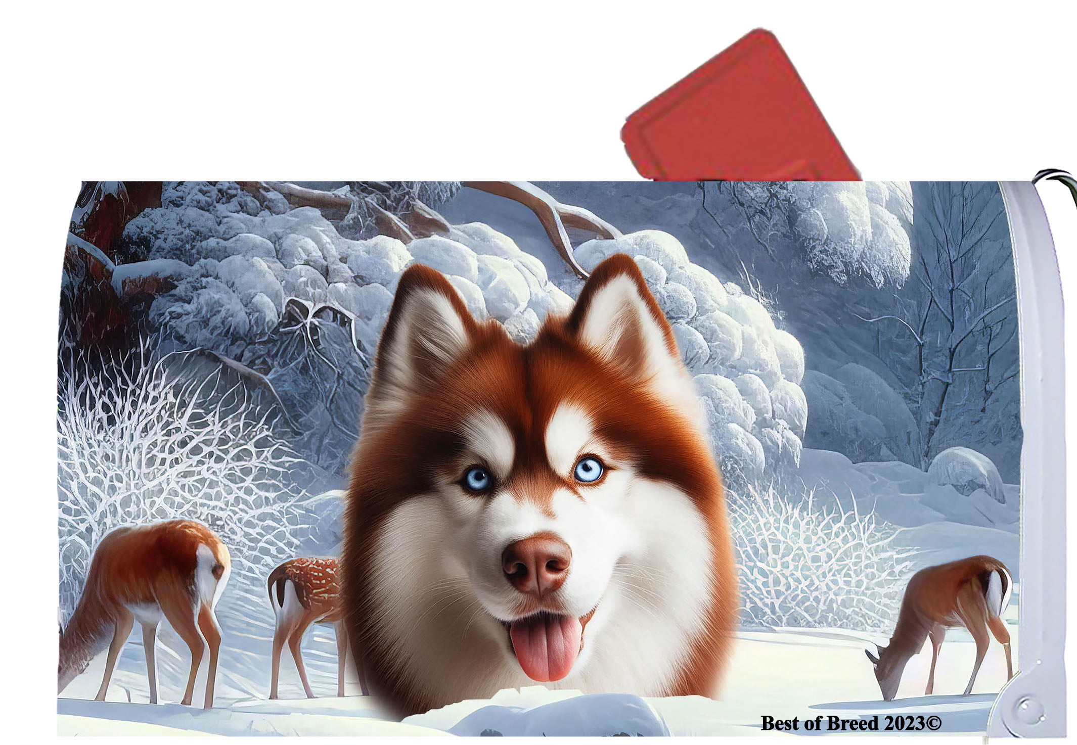 Siberian Husky Red Blue Eyes - Best of Breed Winter Wonderland Dog ...