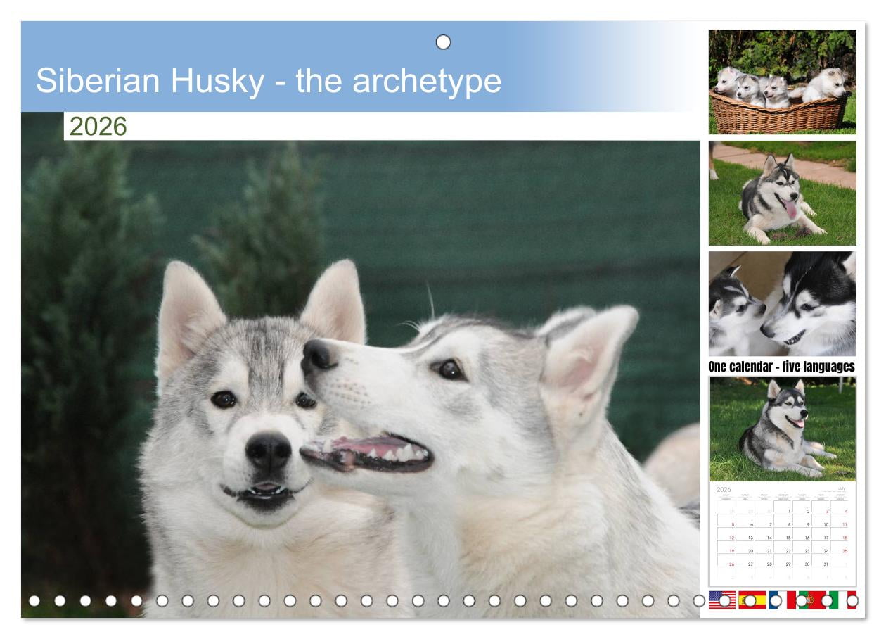 Siberian Husky - the archetype (Monthly Wall Calendar 2026 16.5 x 23.4 ...