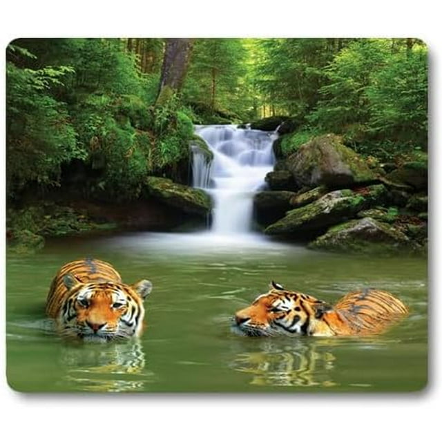 Siberian Tigers in Water Waterfall Pool Woodland Swimming Natural Mouse ...