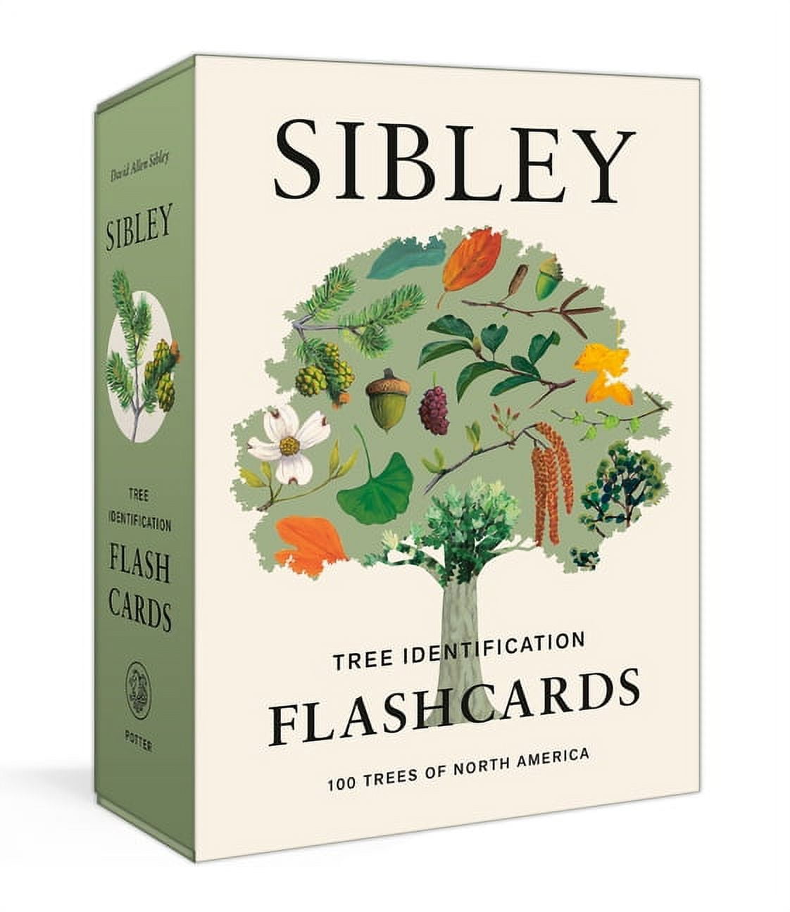 David Allen Sibley's Tree Identification Flashcards: 100 North American ...