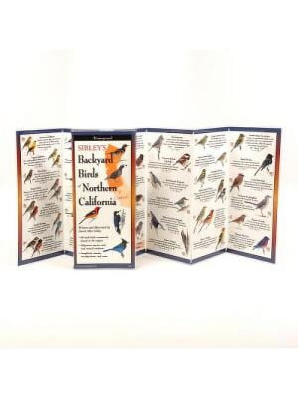 Sibley's Back. Birds of Northern California - Walmart.com