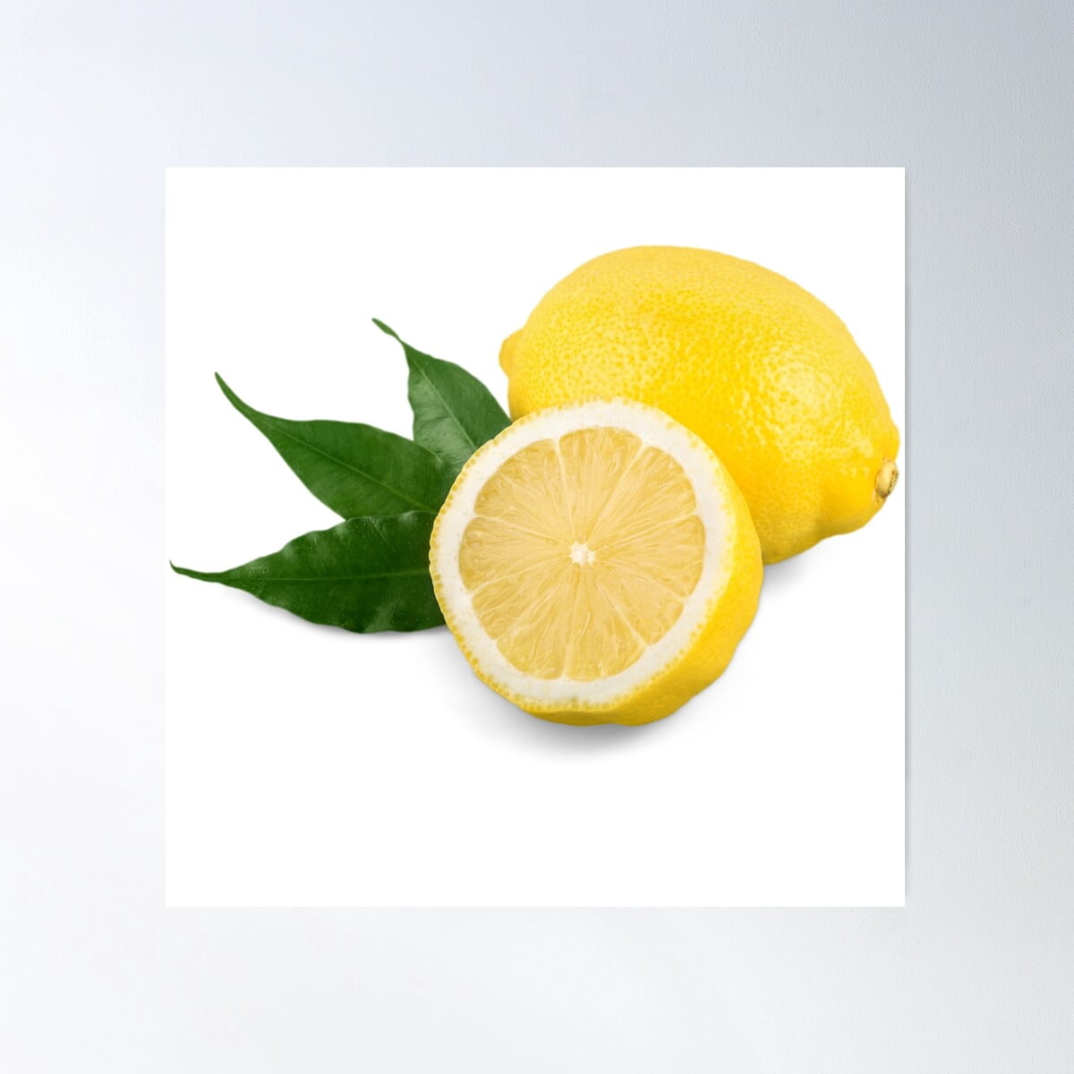 Sicilian Lemon Art Mediterranean Citrus Design Poster Wall Art, Modern ...