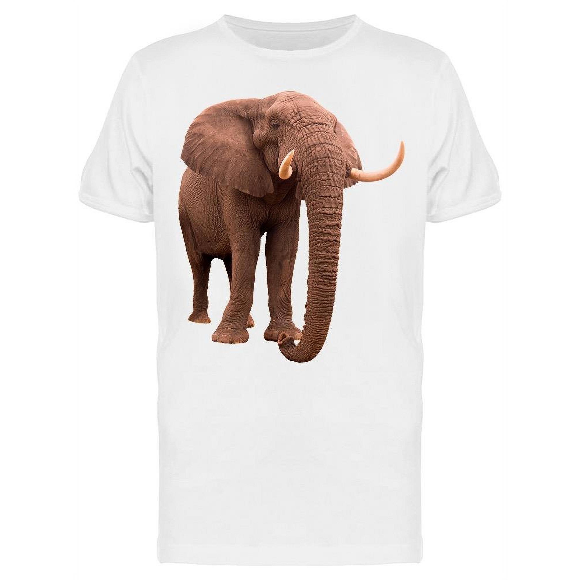 Asian Elephant Front View