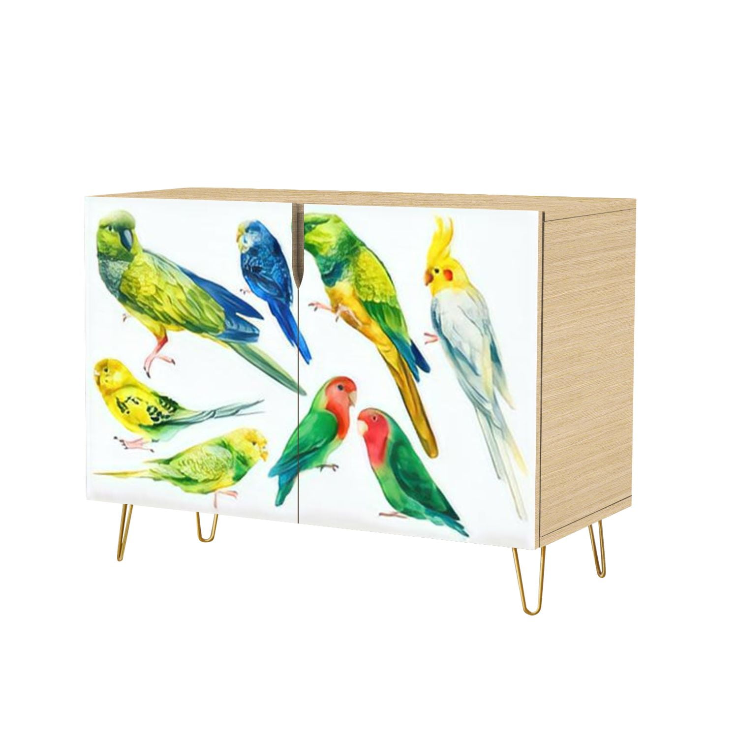 Sideboard Buffet Cabinet with Storage Set tropical parrots painted ...
