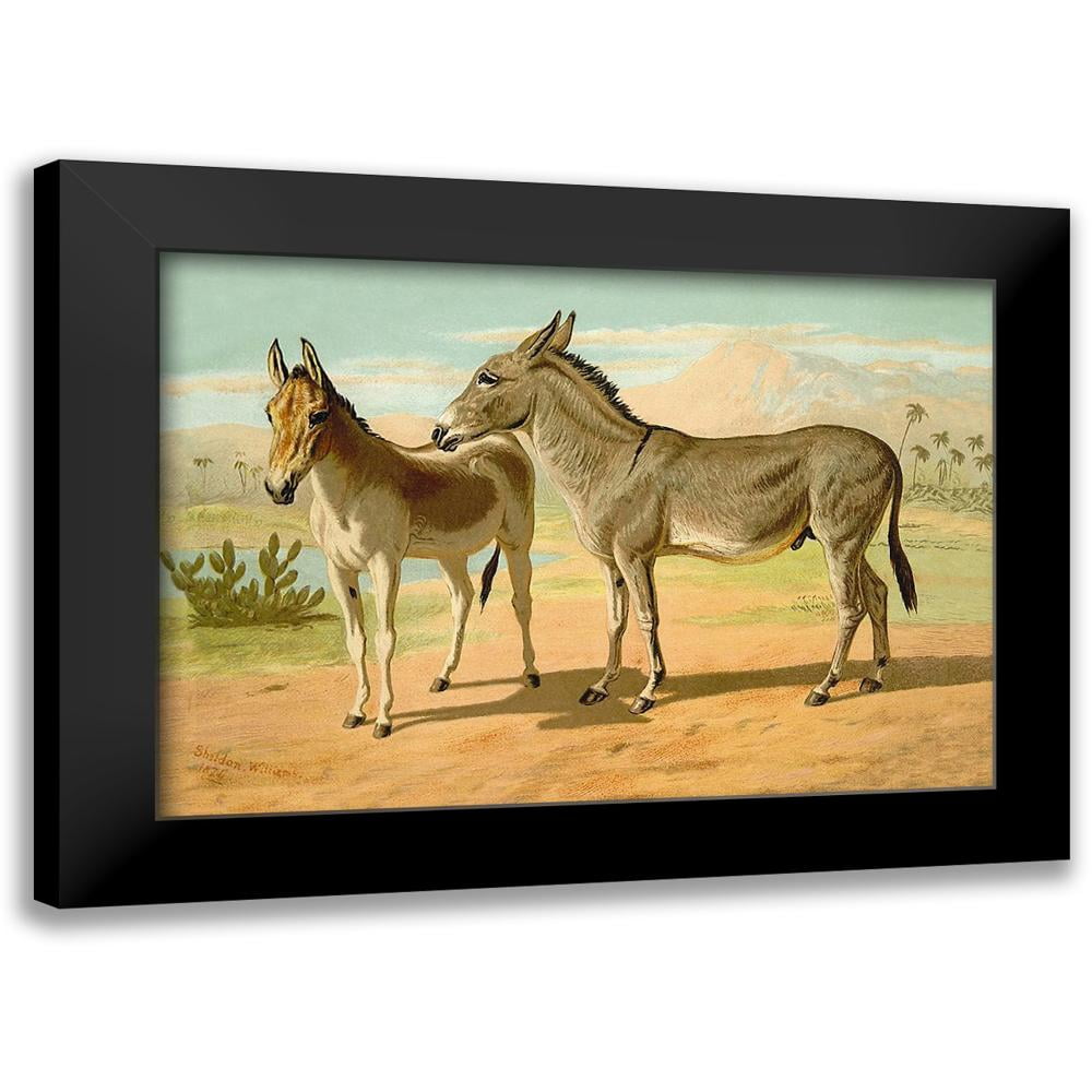 Sidney, Samuel 24x18 Black Modern Framed Museum Art Print Titled ...