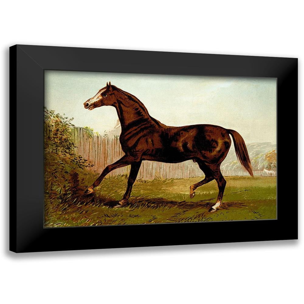 Sidney, Samuel 24x18 Black Modern Framed Museum Art Print Titled ...