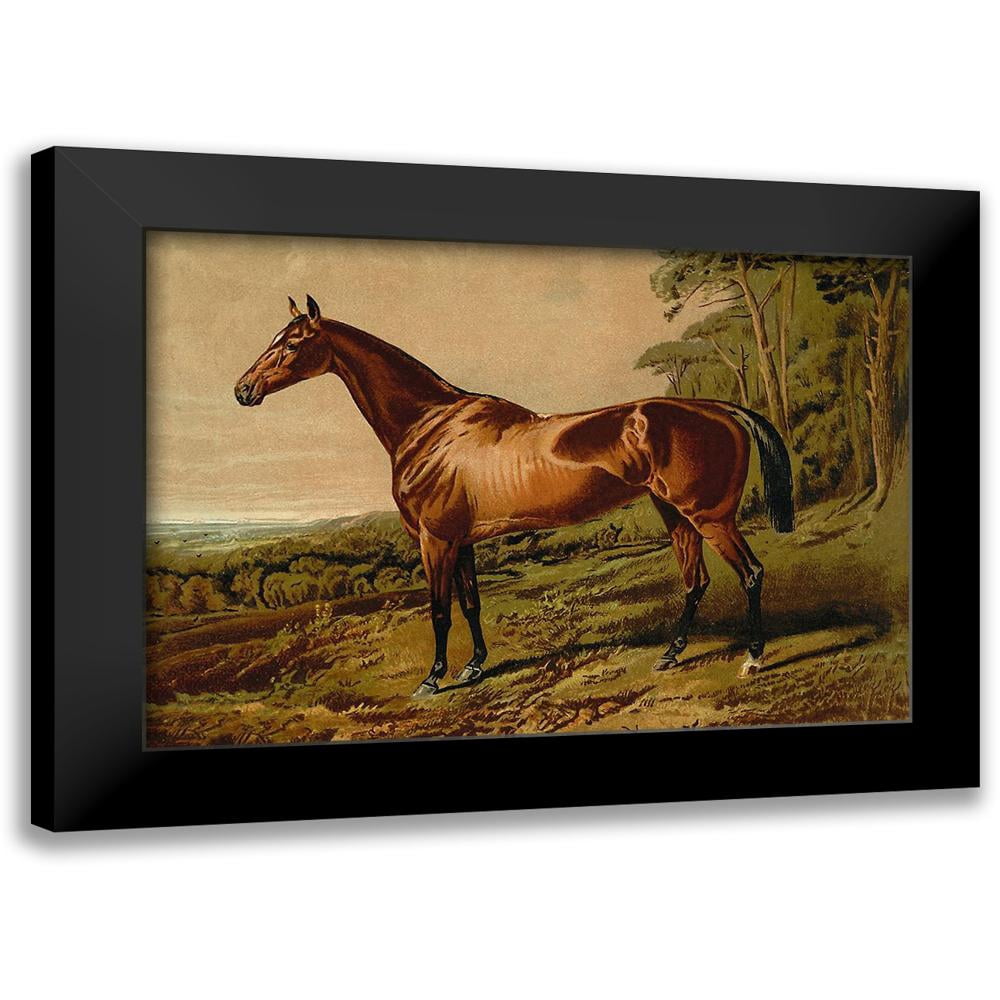 Sidney, Samuel 24x18 Black Modern Framed Museum Art Print Titled - Fair ...