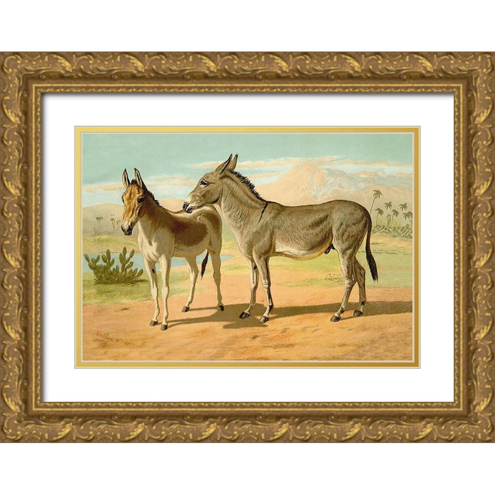 Sidney, Samuel 32x23 Gold Ornate Wood Framed with Double Matting Museum ...