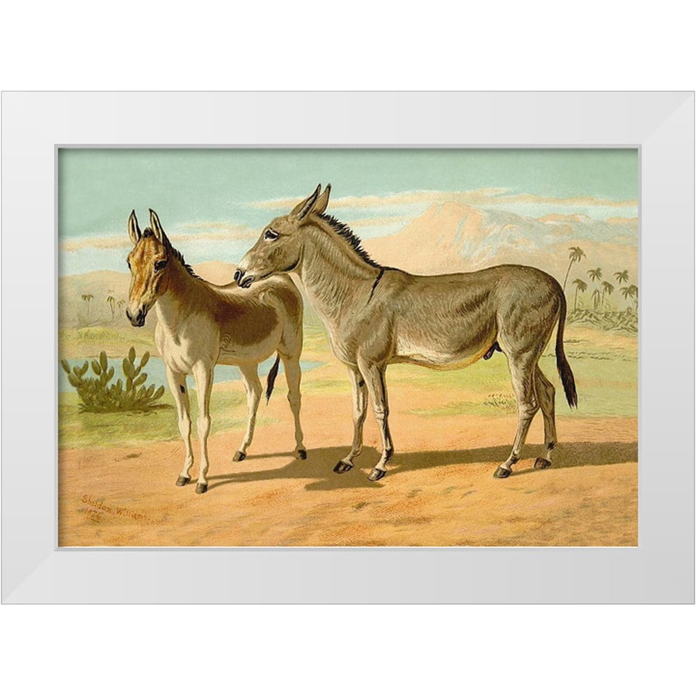 Sidney, Samuel 32x23 White Modern Wood Framed Museum Art Print Titled ...