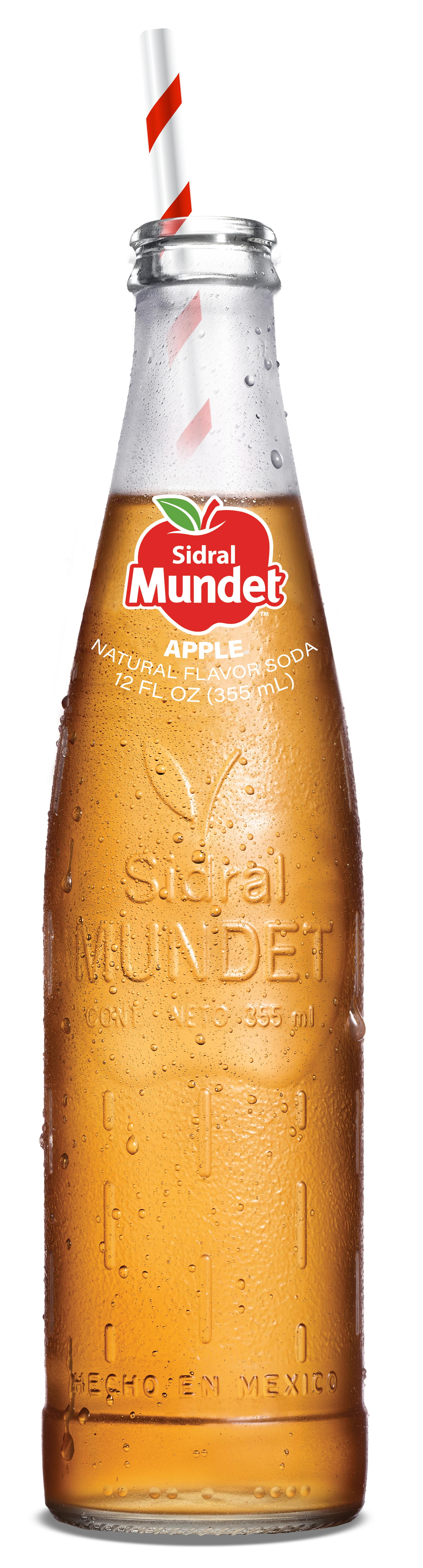 Sidral Mundet Apple Soda, 12 fl oz (355ml) Glass Bottle, 1 Count ...