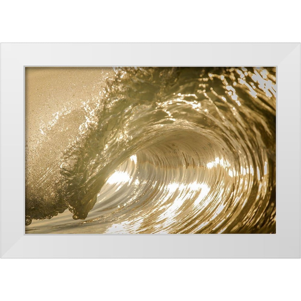 Sieczkiewicz, David A. 18x13 White Modern Wood Framed Museum Art Print Titled - Auricomus ...