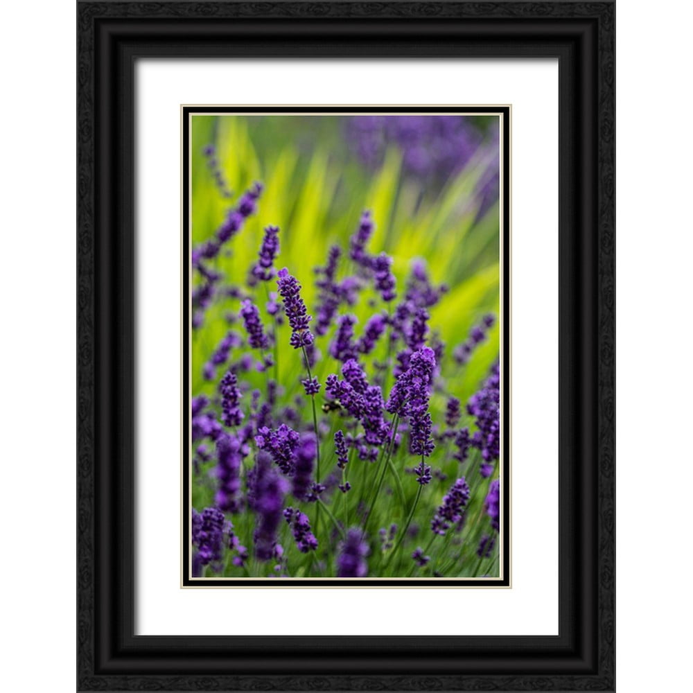 Sienda, Jolly 11x14 Black Ornate Wood Framed with Double Matting Museum ...