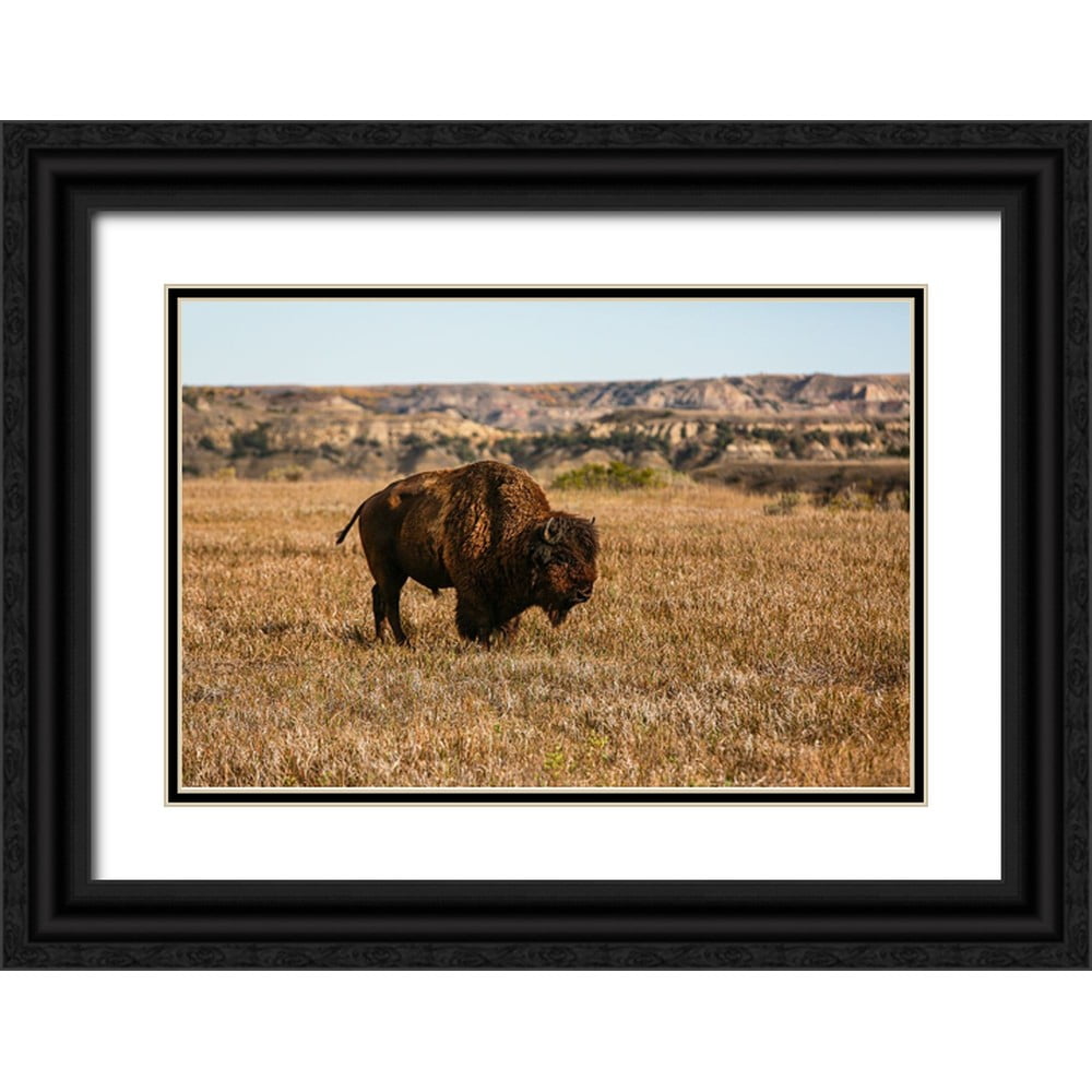 Sienda, Jolly 14x11 Black Ornate Wood Framed with Double Matting Museum Art Print Titled ...