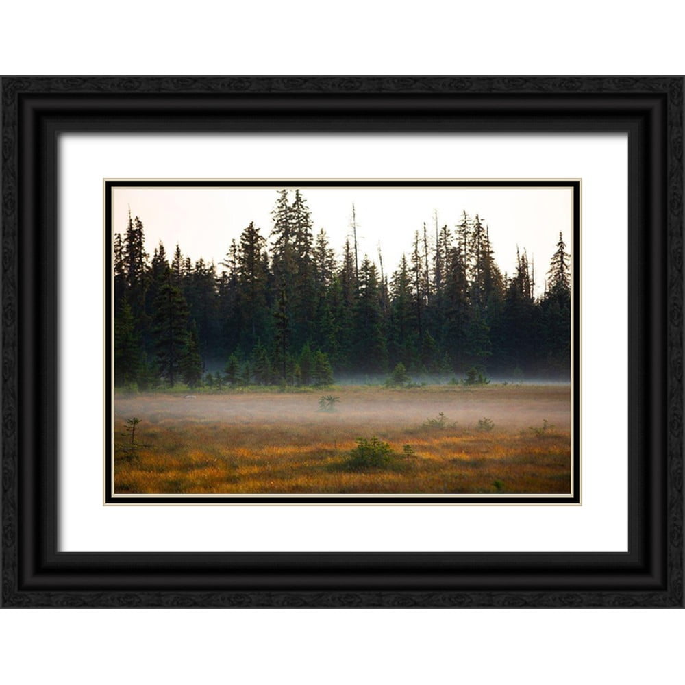 Sienda, Jolly 14x11 Black Ornate Wood Framed with Double Matting Museum Art Print Titled - Homer ...