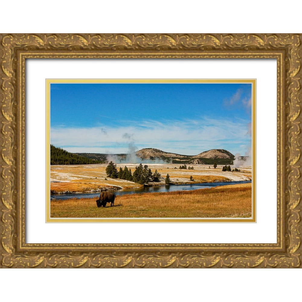 Sienda, Jolly 14x11 Gold Ornate Wood Framed with Double Matting Museum ...
