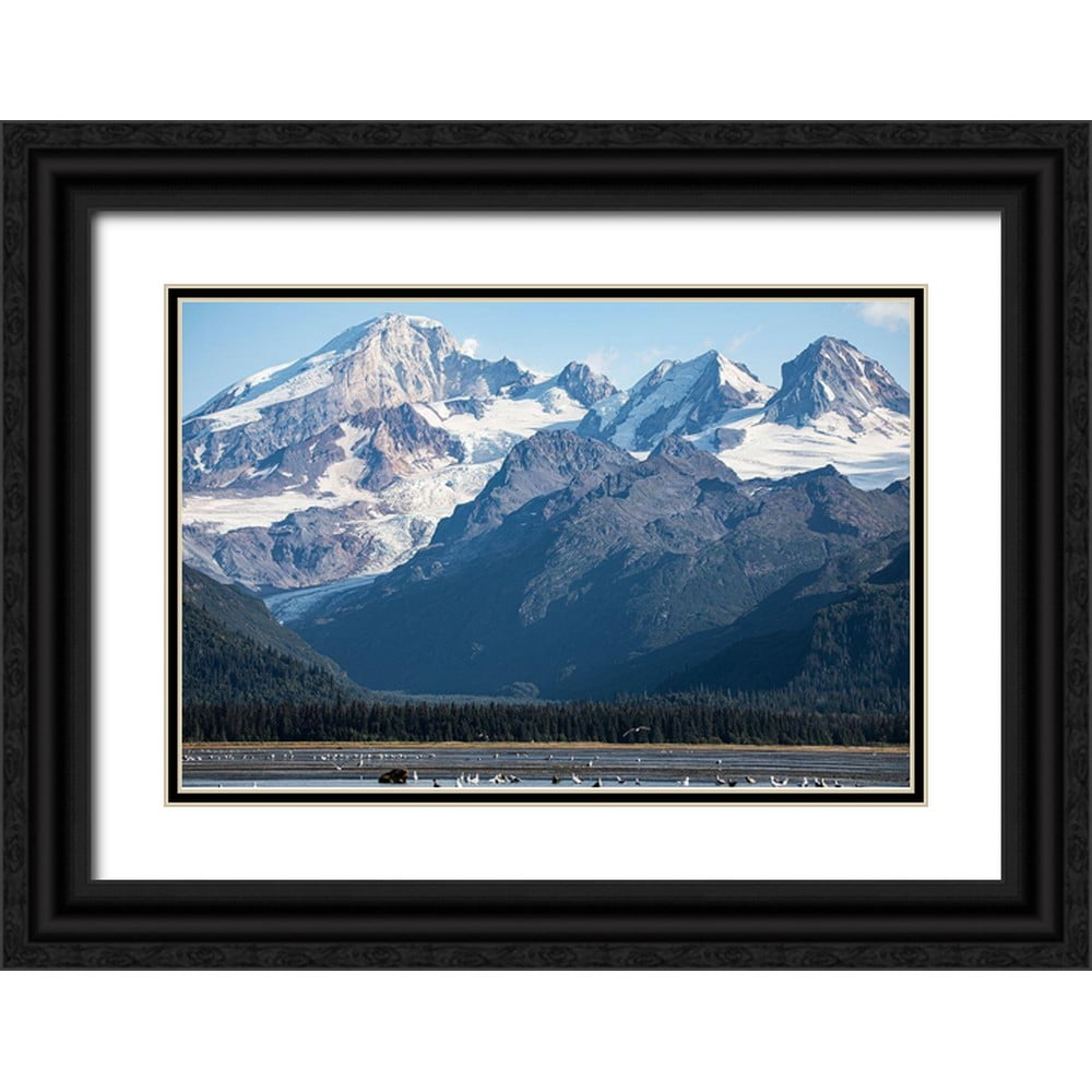 Sienda, Jolly 18x13 Black Ornate Wood Framed with Double Matting Museum Art Print Titled - Cook ...