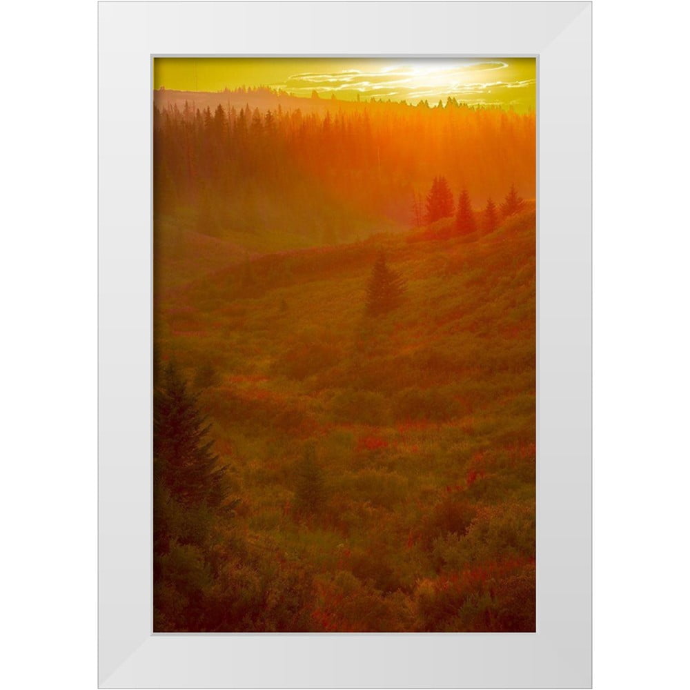 Sienda, Jolly 23x32 White Modern Wood Framed Museum Art Print Titled - Homer-Alaska-scenic ...