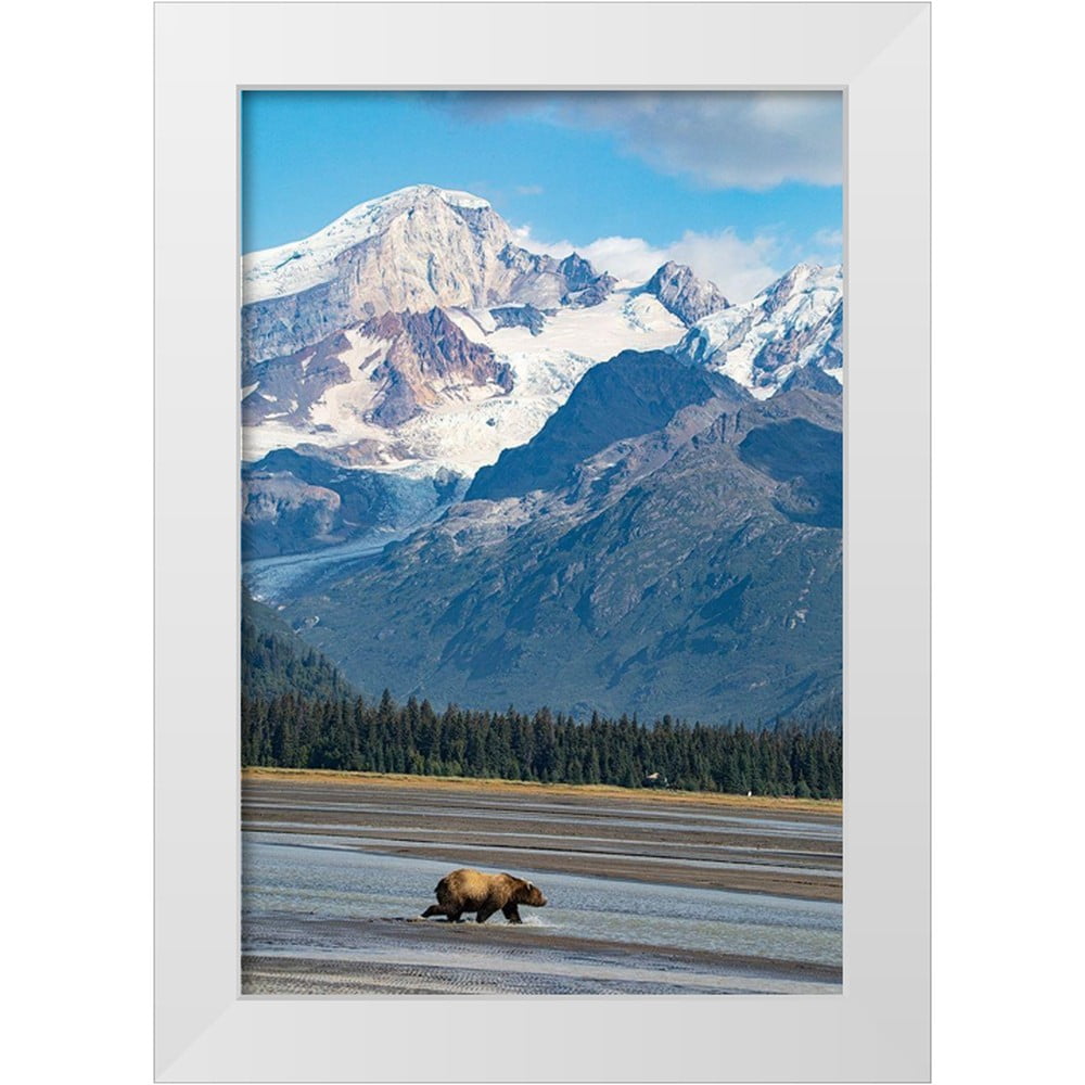 Sienda, Jolly 23x32 White Modern Wood Framed Museum Art Print Titled ...