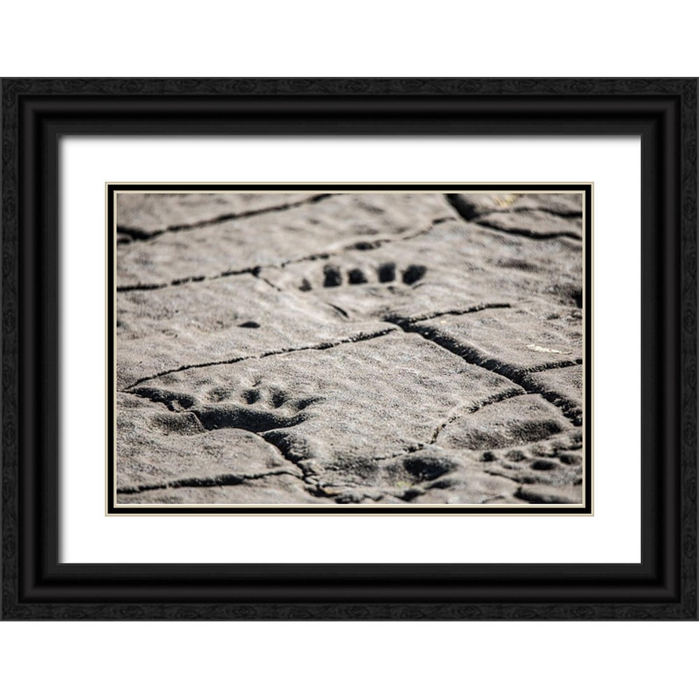 Sienda, Jolly 24x17 Black Ornate Wood Framed with Double Matting Museum ...