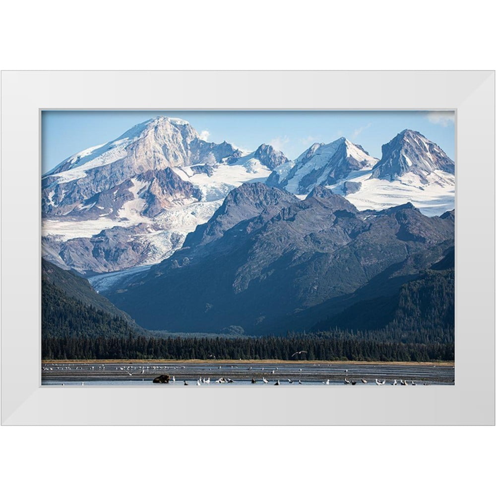 Sienda, Jolly 24x17 White Modern Wood Framed Museum Art Print Titled ...