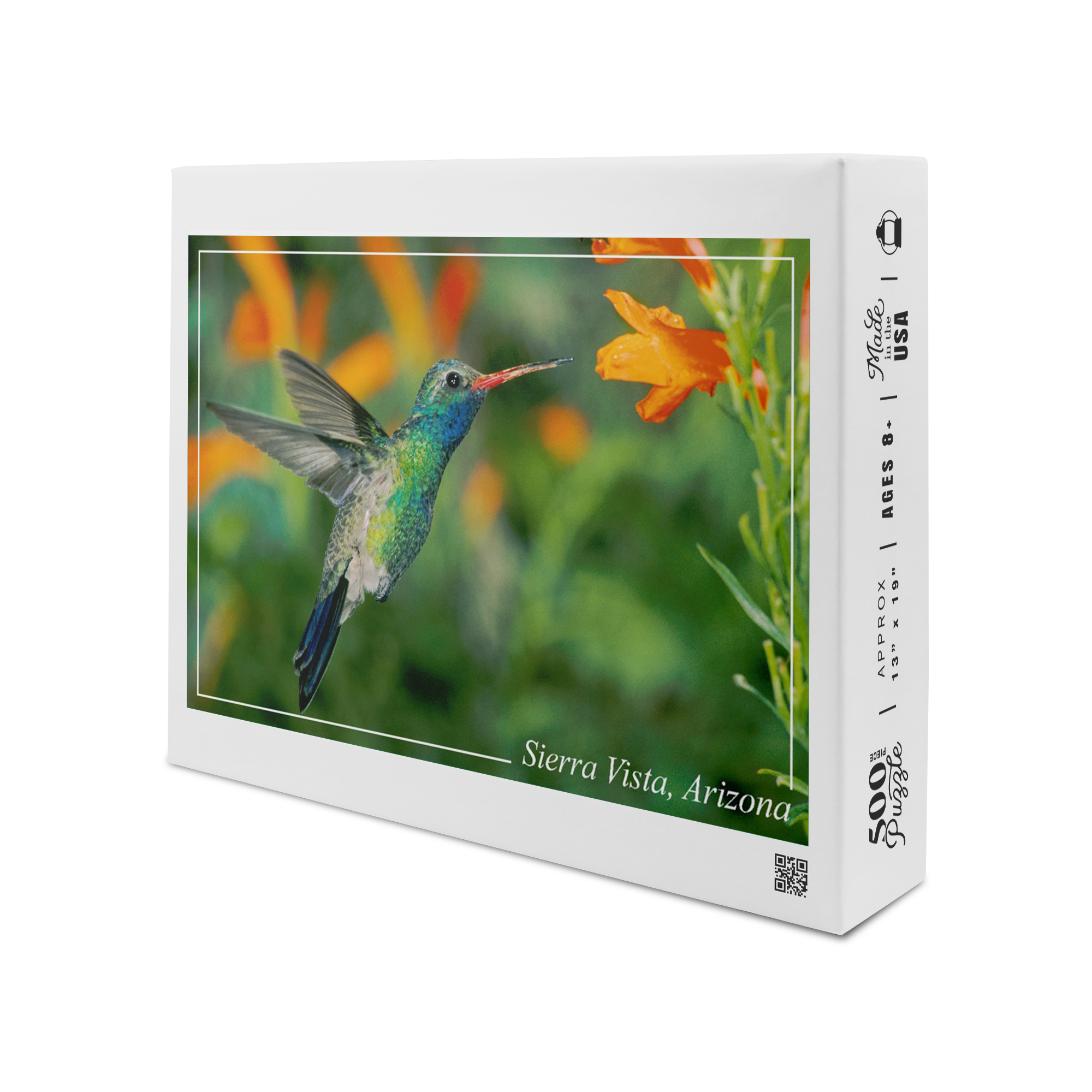 Sierra Vista, Arizona, Broadbill Hummingbird, Photography (James T ...