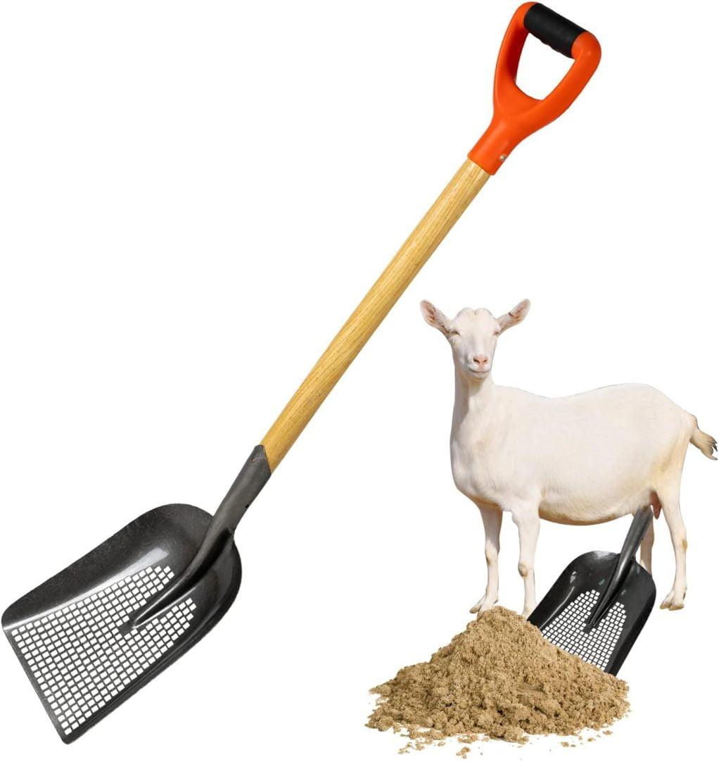 Sifting Scoop Shovel Steel Sand Sifter Treasure Shovel Digger Sifter ...