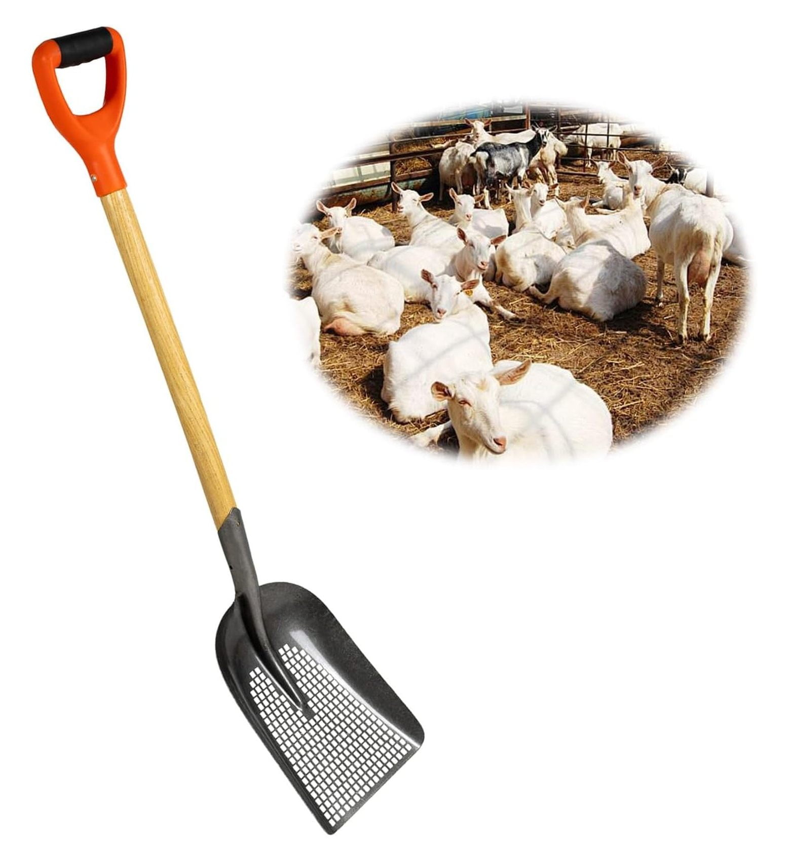 Sifting Shovel 11.6" W × 61.6" H, Sifter Treasure Sand Digger Sifter ...