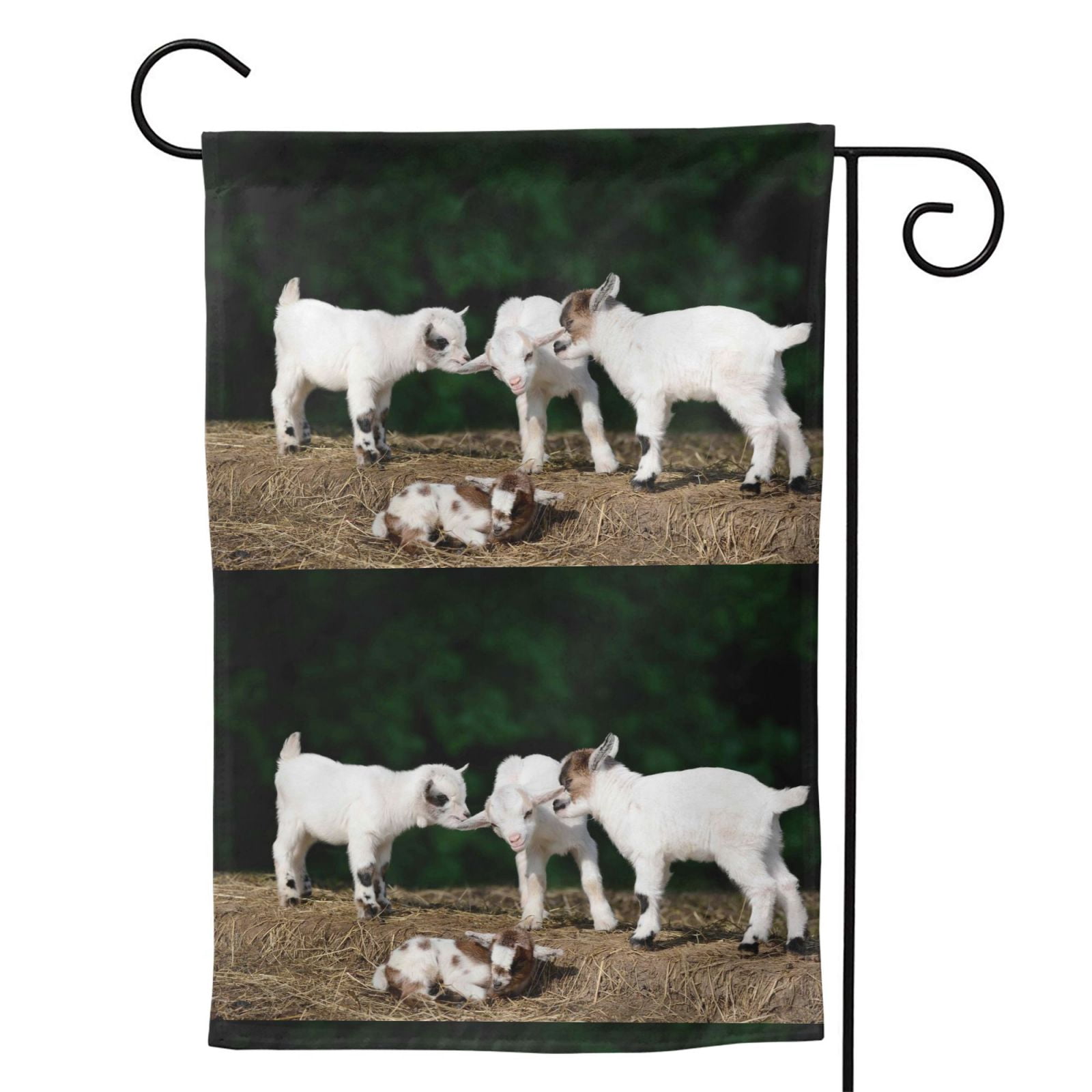 Sigee Cute Goat Baby for Live Happy Decorative Small Garden Flag,Double ...
