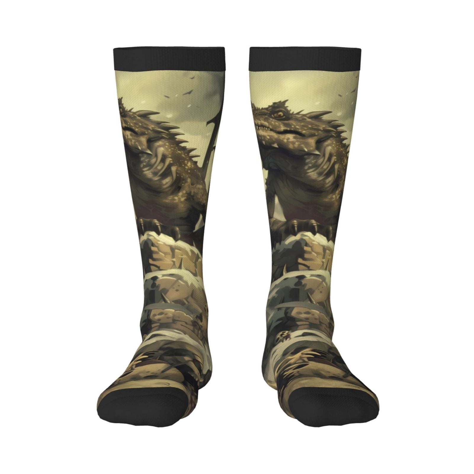 Sigee Epic Dragon Skull Scene for Socks for Men Women Socks Stocking ...