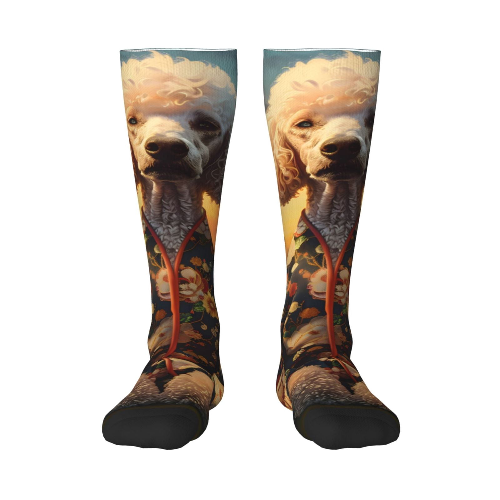 Sigee Flower Field Poodle for Socks for Men Women Gifts for Him ...