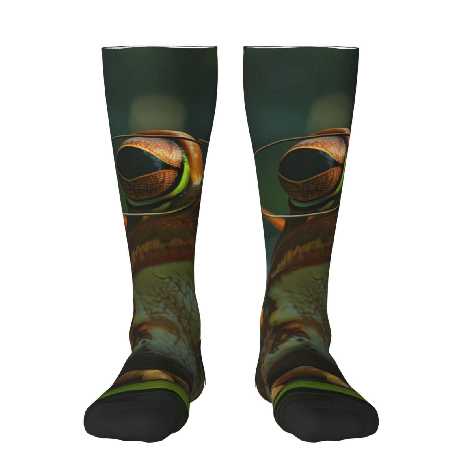 Sigee Intellectual Frog Pond for Socks for Men Women Socks Stocking ...