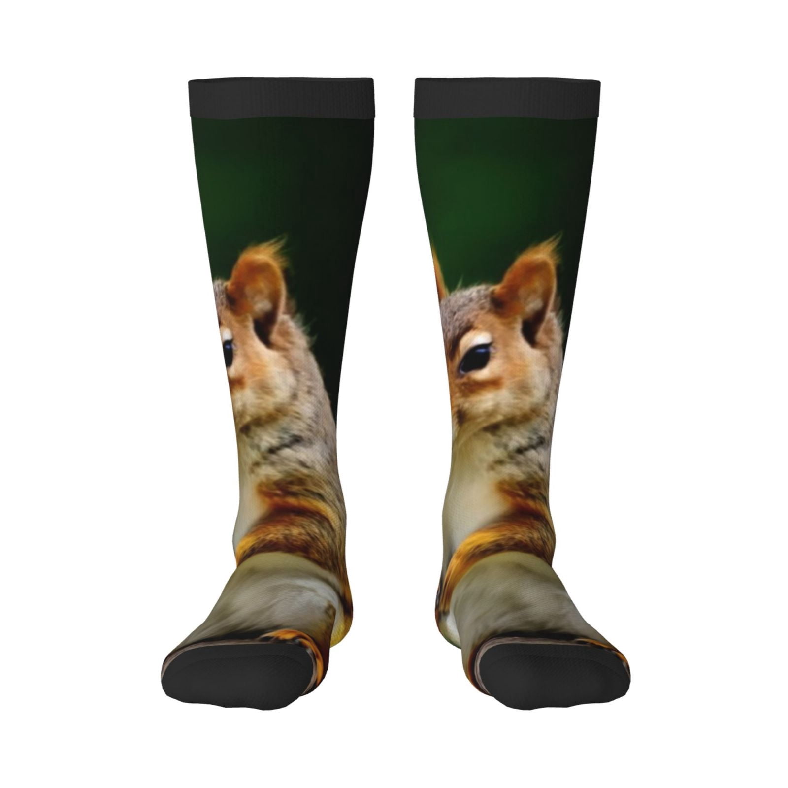 Sigee Squirrels Eating Peanuts On The Tree for Socks for Men Women ...