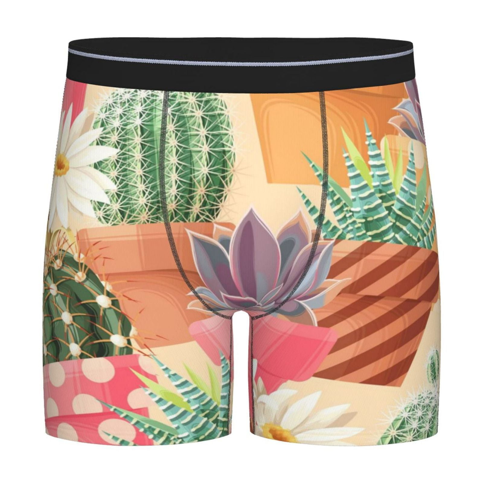 Sigee Succulent And Cactus for Men's Boxer Briefs,Moisture Wicking and ...