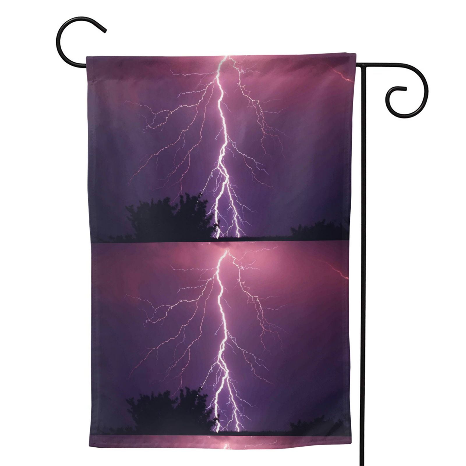 Sigee Thunderstorm Violet Purple for Live Happy Decorative Small Garden ...