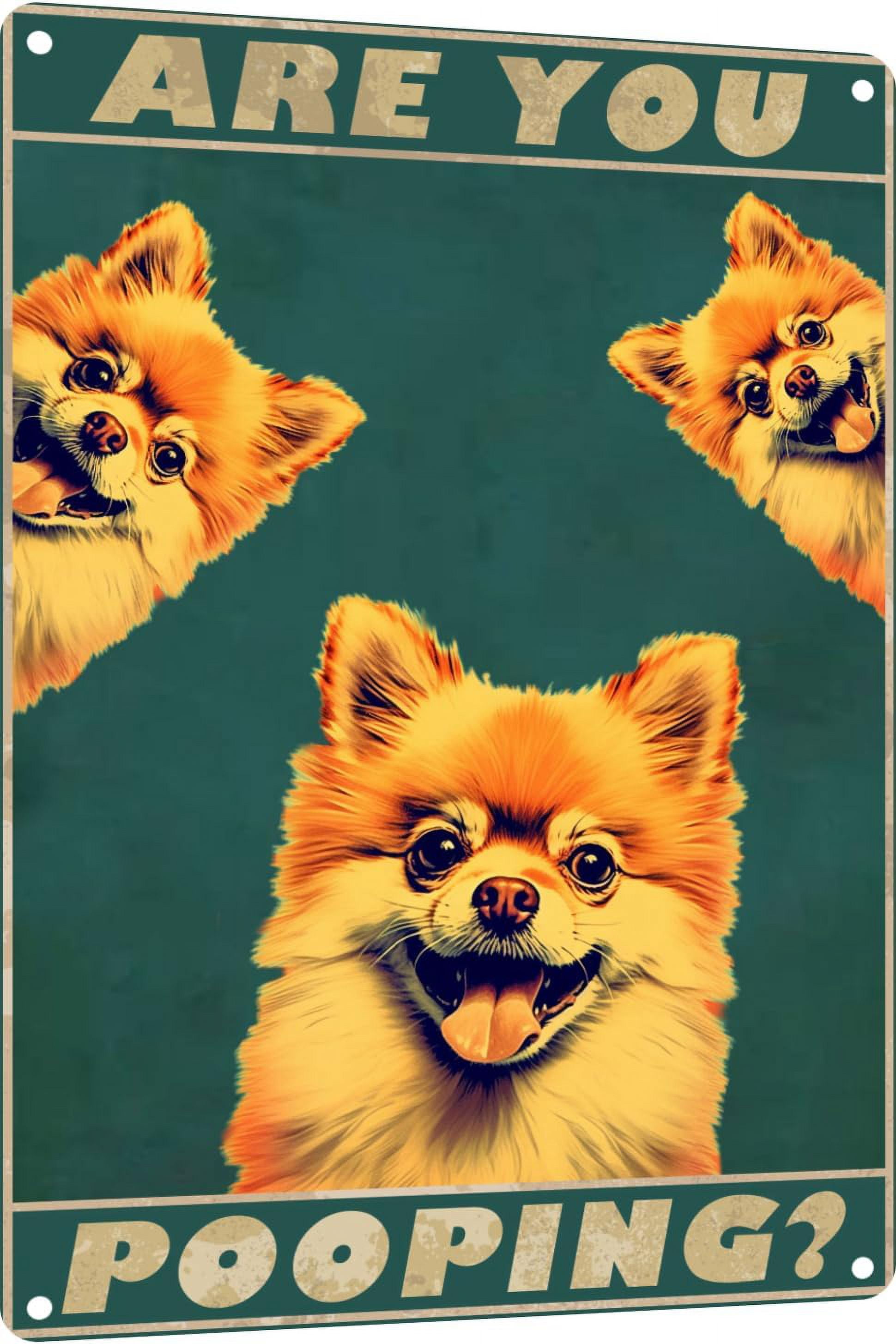 Sign Pomeranian Are You Pooping Sign Vintage Funny Sign Retro Aluminum ...