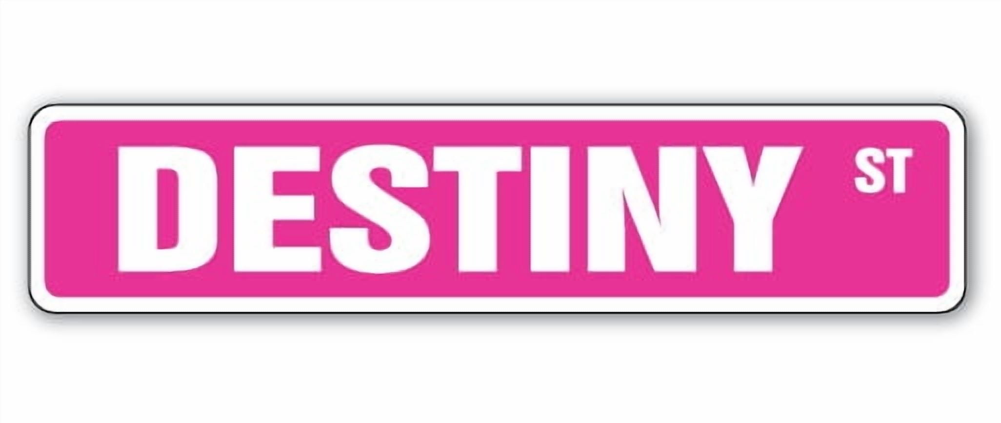 DESTINY Street Sign Childrens Name Room Sign | Indoor/Outdoor | 18 ...