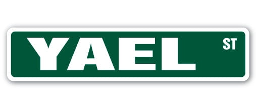 YAEL Street Sign Childrens Name Room Sign | Indoor/Outdoor | 30" Wide ...