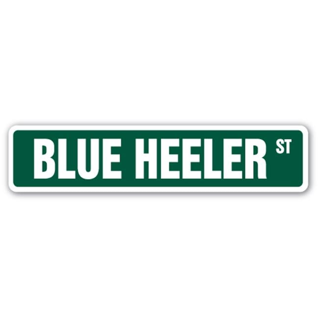 SignMission 4 x 18 in. Blue Healer Street Sign - Walmart.com