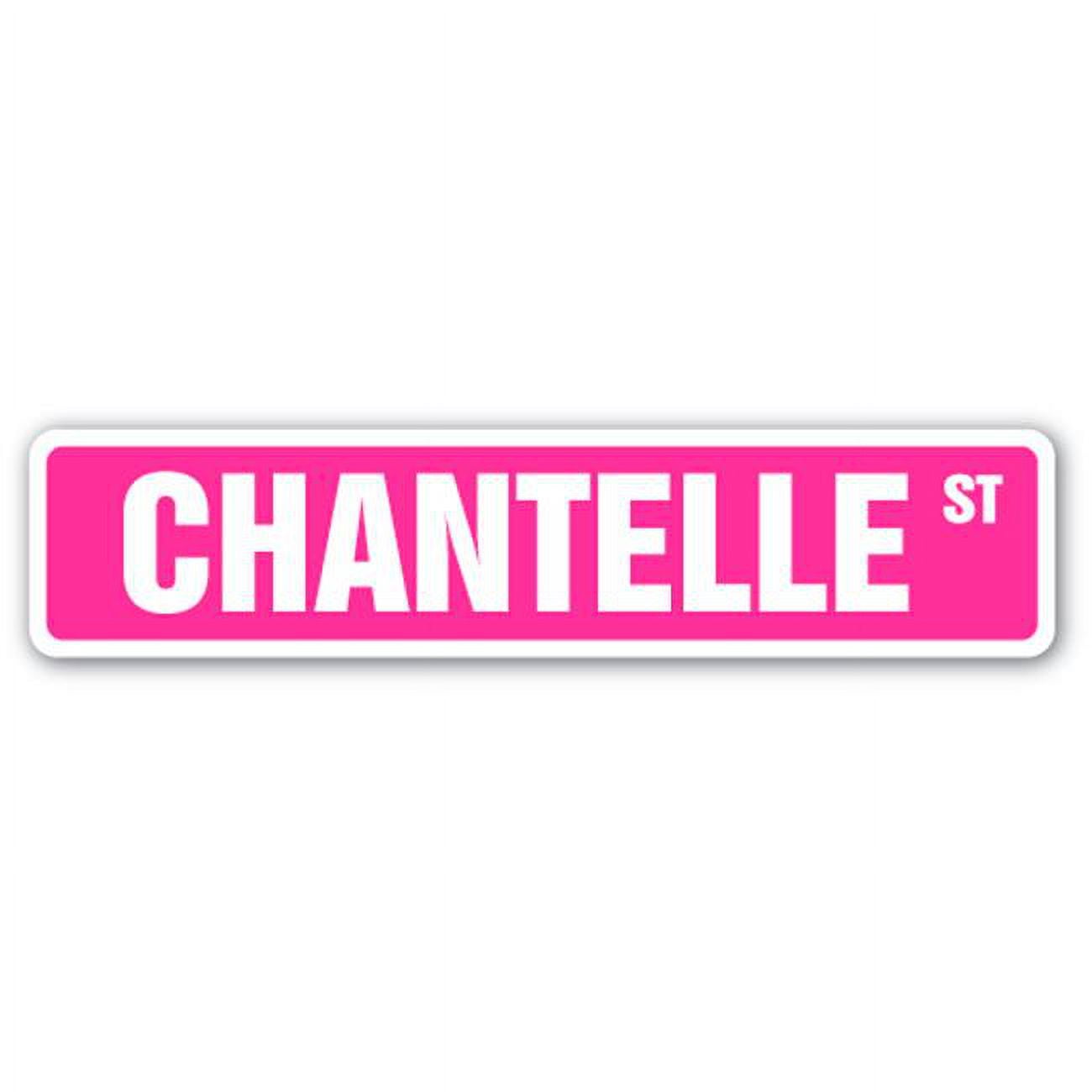 SignMission 4 x 18 in. Childrens Name Room Street Sign - Chantelle ...