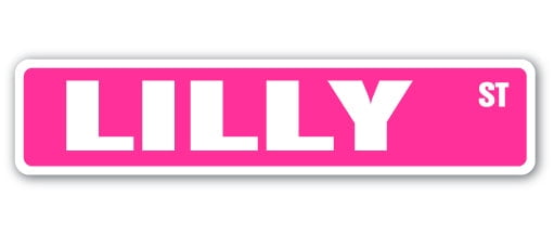 LILLY Street Sign Childrens Name Room Sign | Indoor/Outdoor | 18" Wide ...