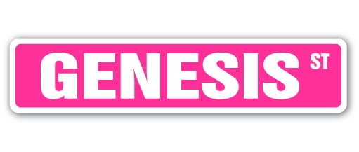 GENESIS Street Sign Childrens Name Room Sign | Indoor/Outdoor | 24 ...